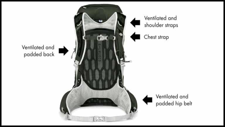 Buyer’s Guide: Best 30L Hiking And Travel Backpack For Men & Women in ...