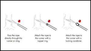 How To Rappel From A Tree: Illustrated Guide • Climb Tall Peaks