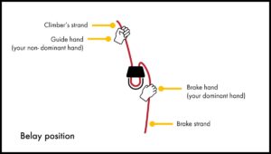 How To Pass A Belay Certification On Your First Try • Climb Tall Peaks