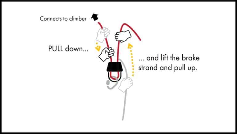 How To Pass A Belay Certification On Your First Try • Climb Tall Peaks