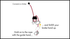 How To Pass A Belay Certification On Your First Try • Climb Tall Peaks